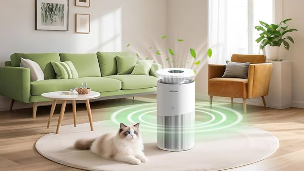 Ukuran Ideal Air Purifier untuk Ruangan Besar - Distributor Peralatan ...